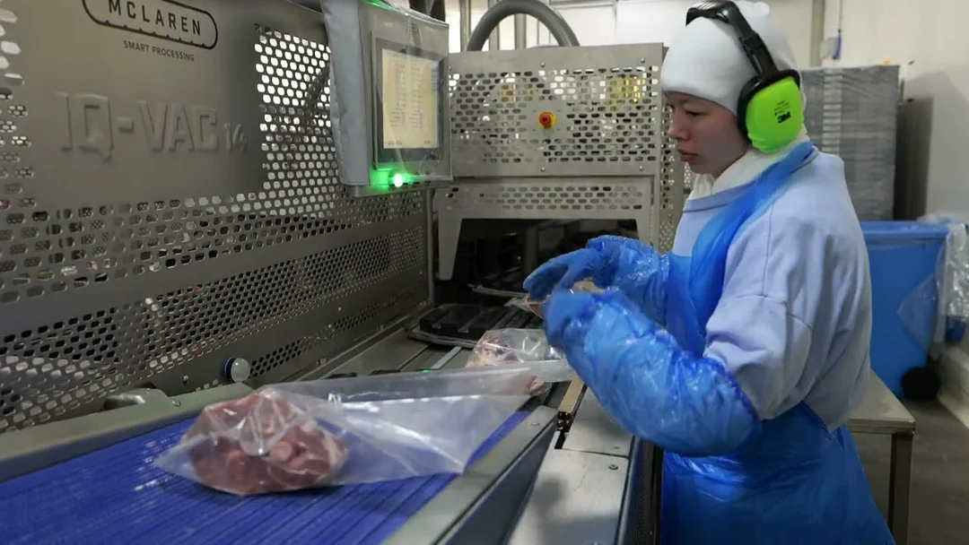 Explainer | Corporate Video Productions